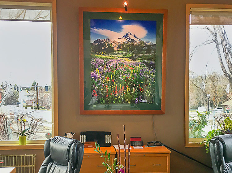 Mike Putnam - Landscape Photography | Riverside Animal Hospital